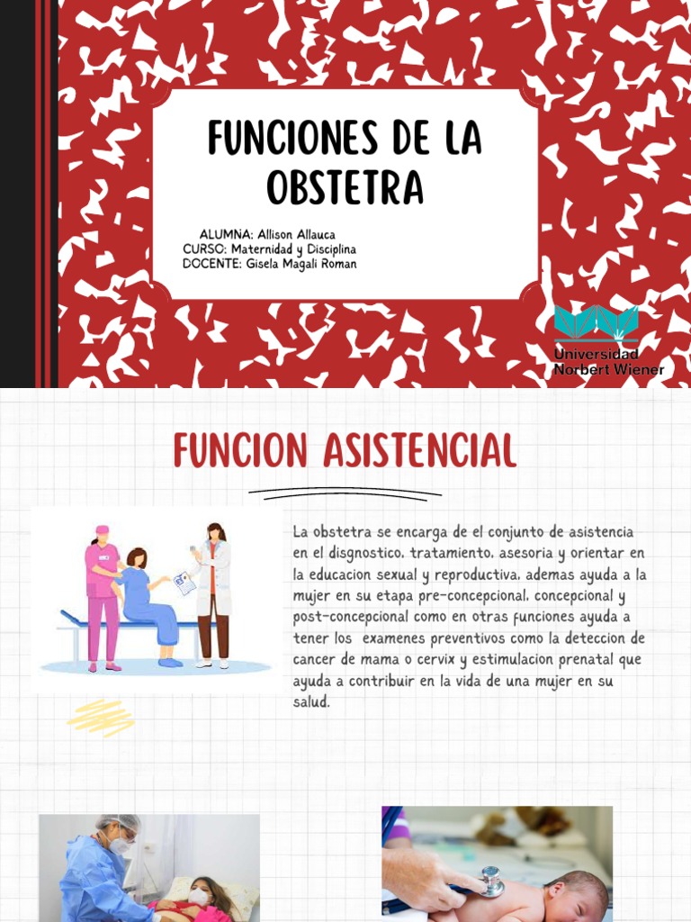 Funciones de La Obstetra | PDF | Partería | Cuidado de la salud