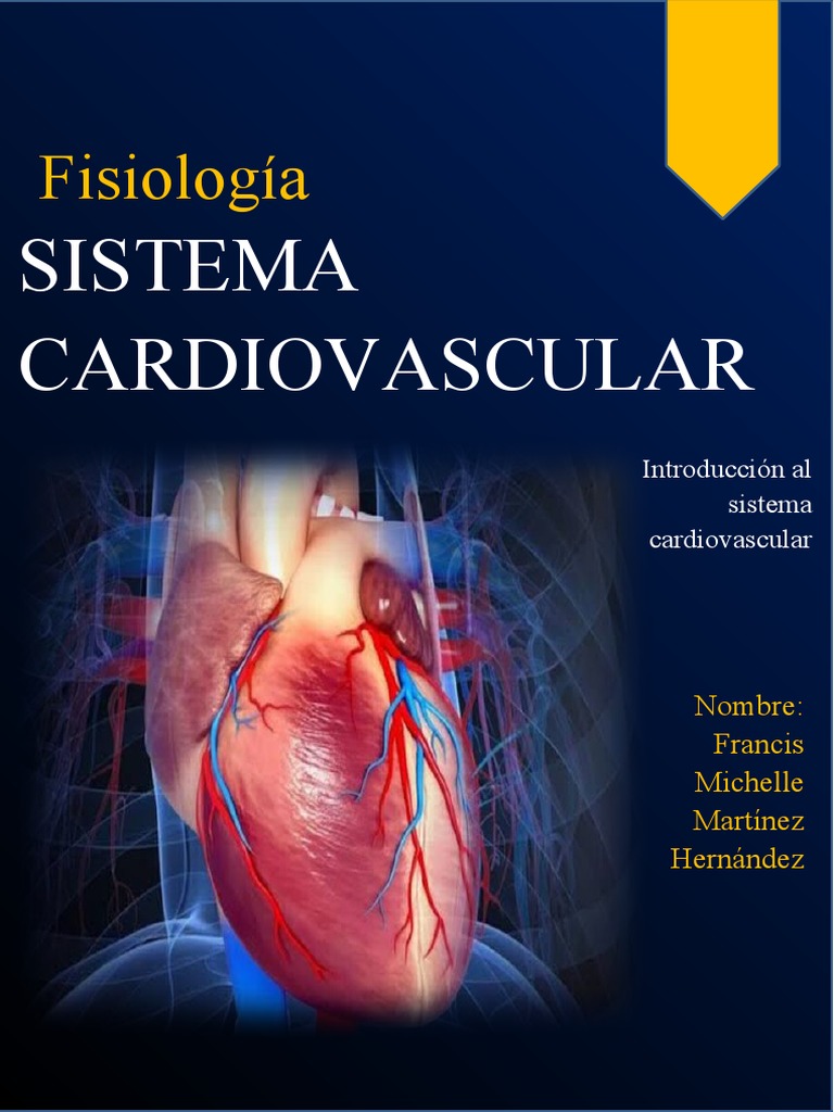 Sistema Cardiovascular | PDF | Sistema circulatorio | Vena