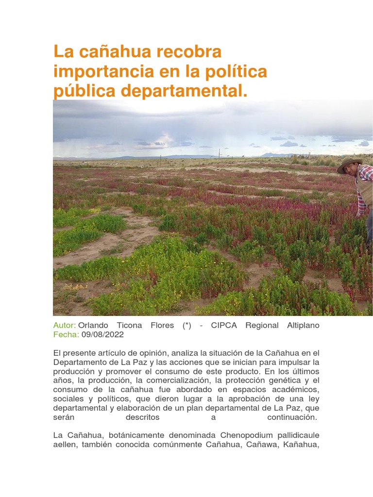 La Cañahua Recobra Importancia en La Política Pública Departamental ...