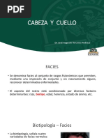 Tipos de Facíes Semiología | PDF | Cara | Anatomía humana