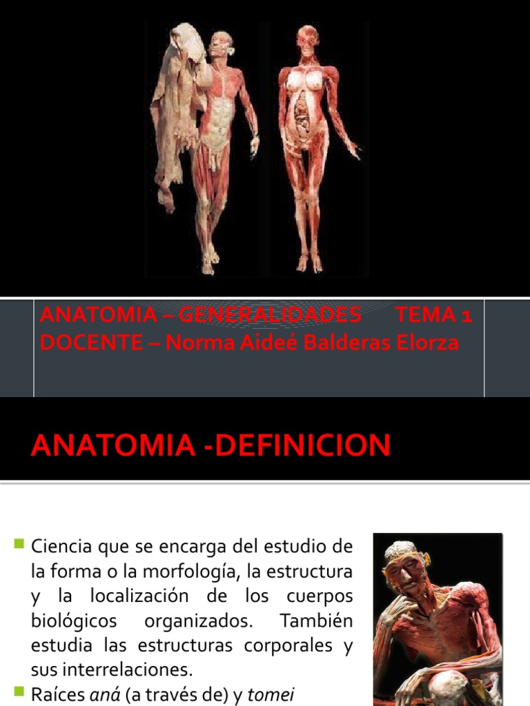 Generalidades de Anatomia Humana | PDF | Términos anatómicos de ubicación | Anatomía
