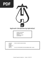 HydraCalc Manual | PDF