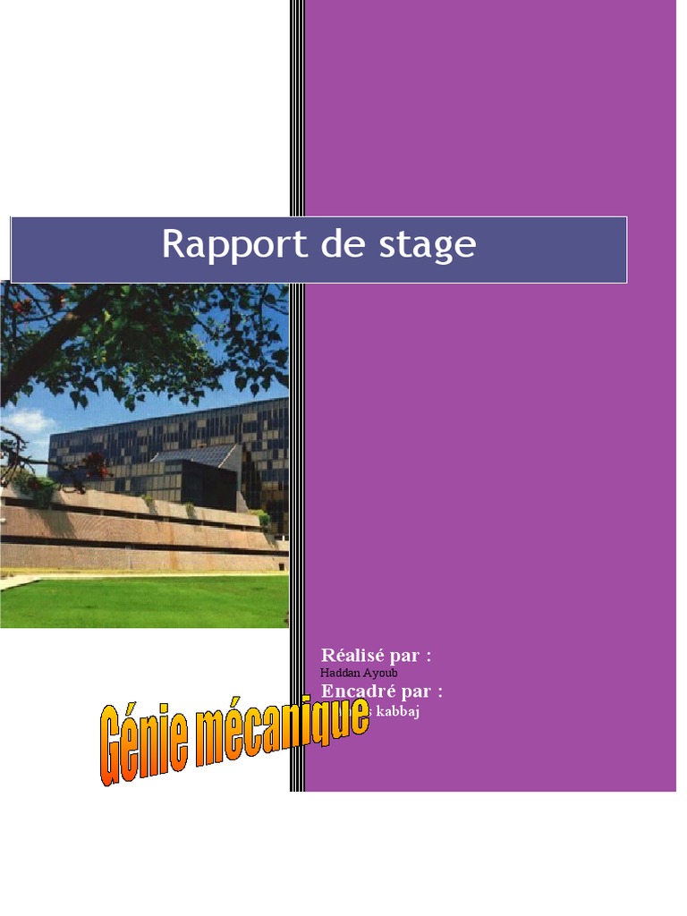 Ayoub Rapport de Stage Defem | Download grátis PDF | Chimie | Sciences physiques