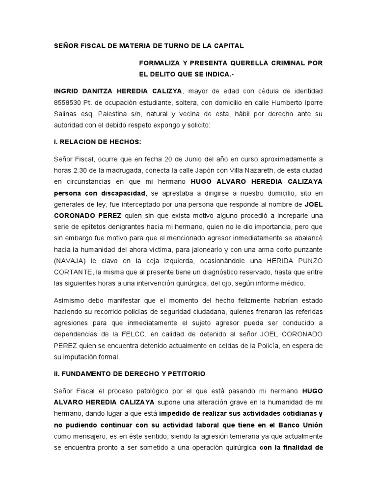 Formaliza y Presenta Querella Criminal. | PDF | Queja | Ley común