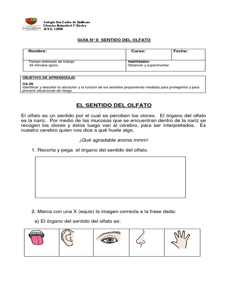 C2 Semana 4 Actividad 2. EL OLFATO | PDF