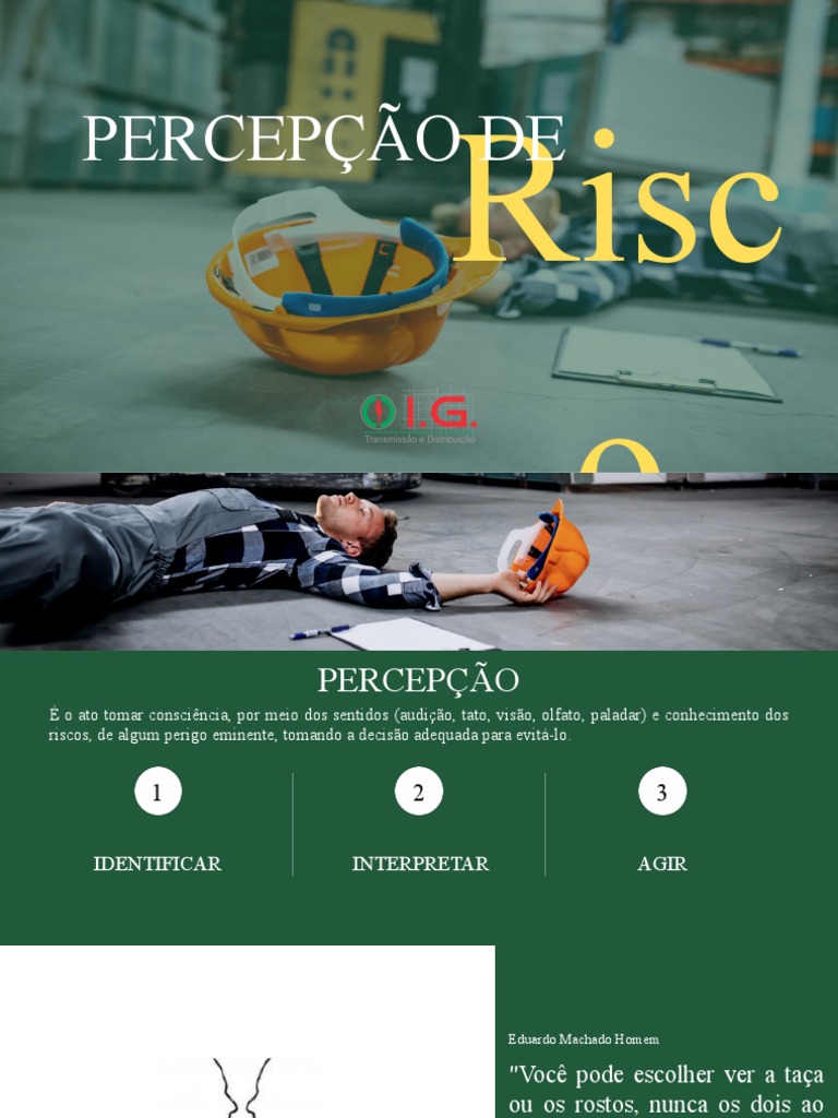 Percepção de Risco | PDF | Avaliação de risco | Atitude (Psicologia)