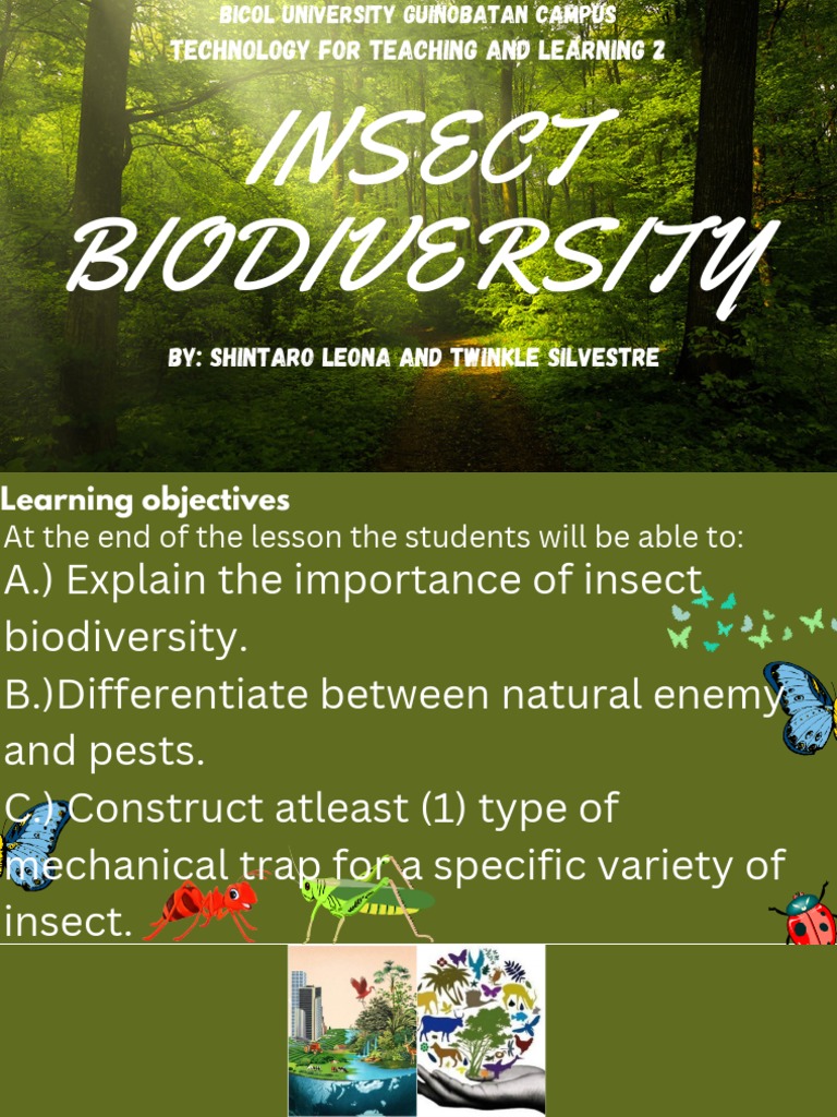 Insect Biodiversity | PDF | Insects | Pest (Organism)