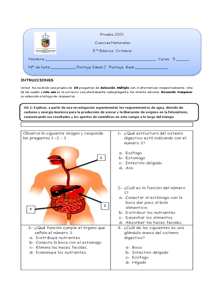3 5o CIENCIAS EVALUACION N°02 2do Sem. 04 08 OCTUBRE | PDF