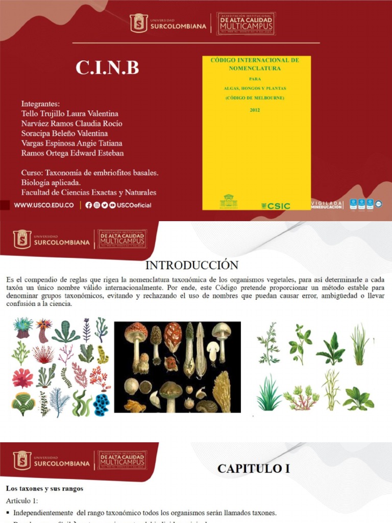 CINB | PDF