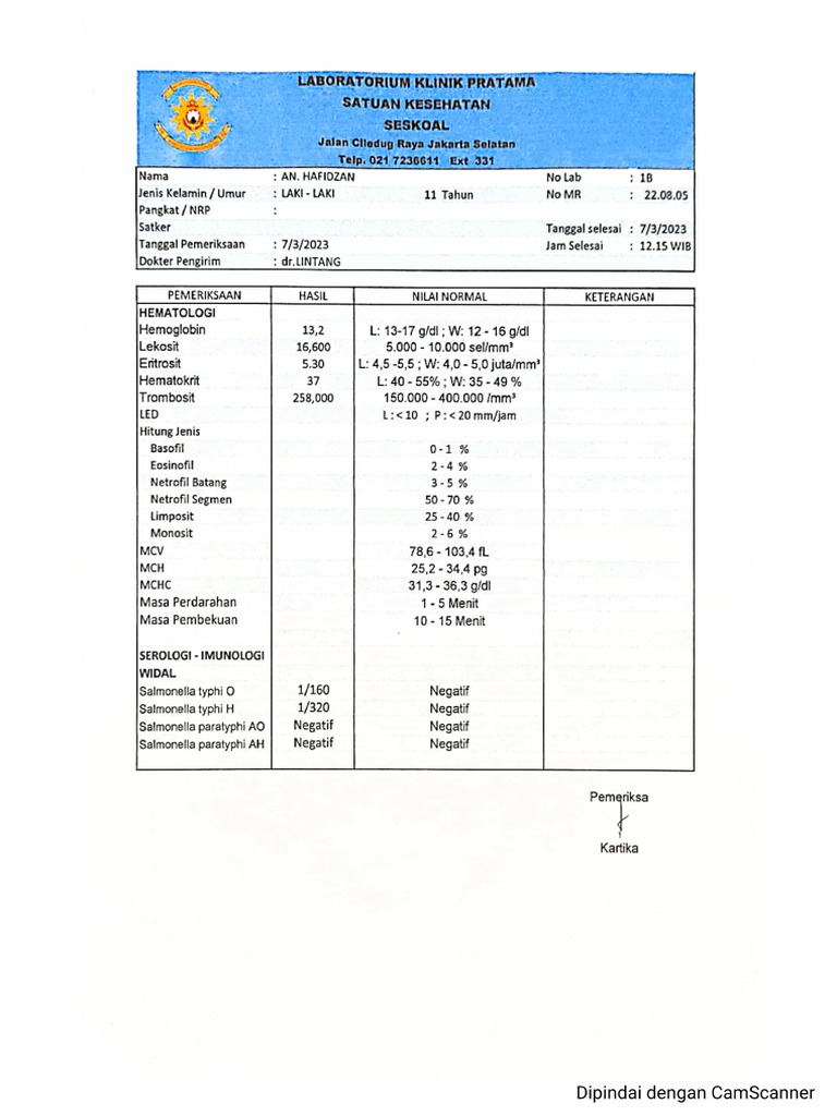 Foto Hasil Lab Pasien 1 | PDF
