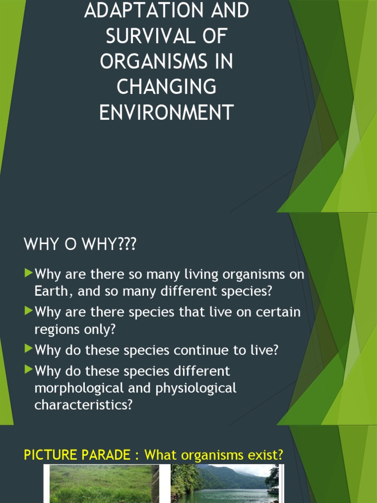 Organism Adaptation for Survival | PDF | Ecosystem | Natural Environment