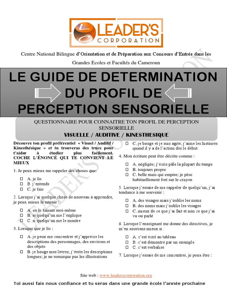 Test Profil Sensoriel: Visuel, Auditif, Kinesthésique | PDF