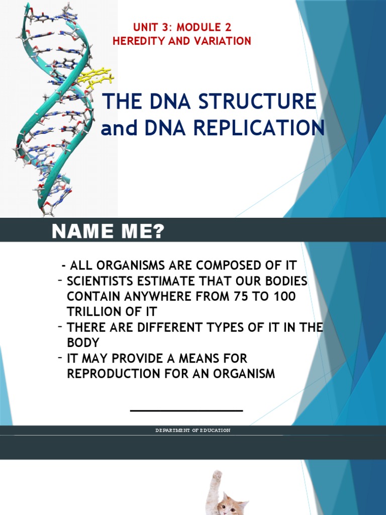 The Dna Structure | PDF | Dna | Rna