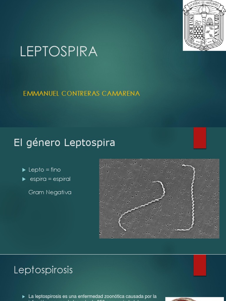 LEPTOSPIRA | PDF | Microbiología | Especialidades Medicas