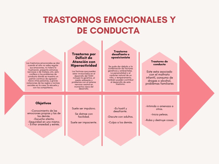 Pink Fishbone Diagram | PDF | Desorden hiperactivo y deficit de ...