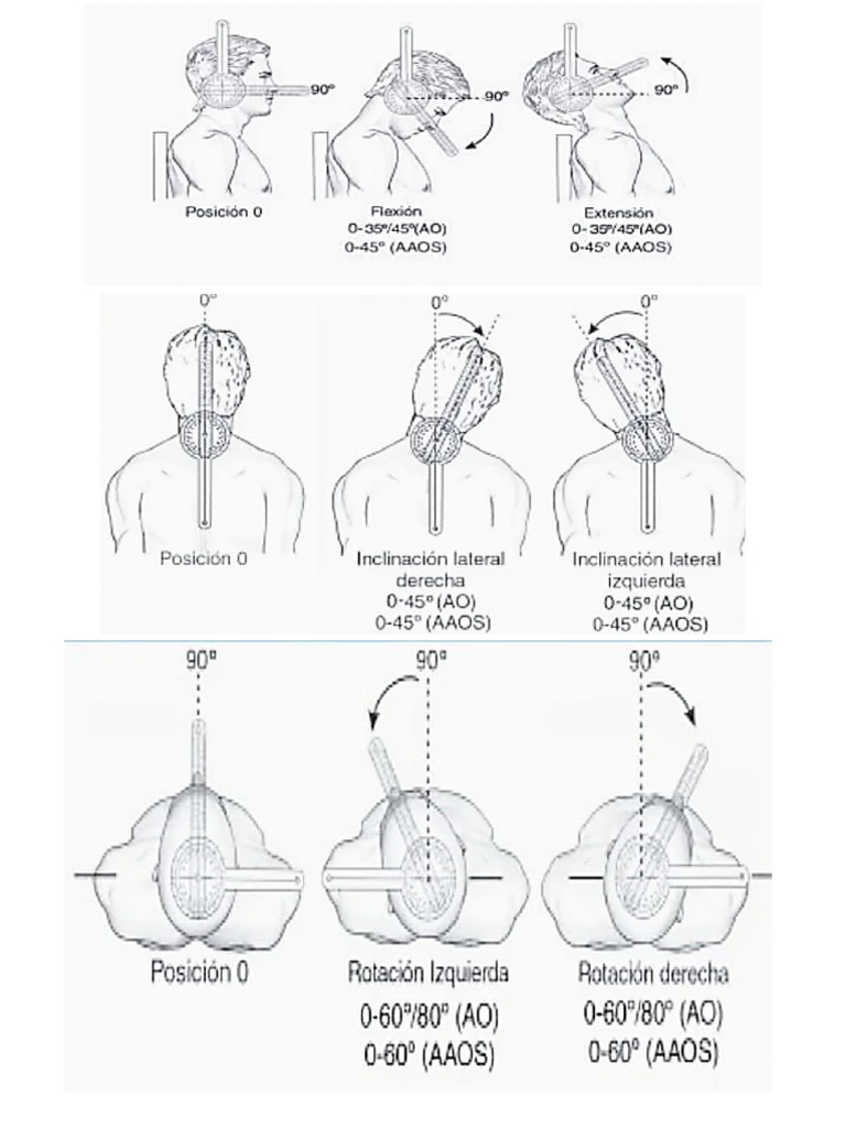 Rangos de Movimiento | PDF