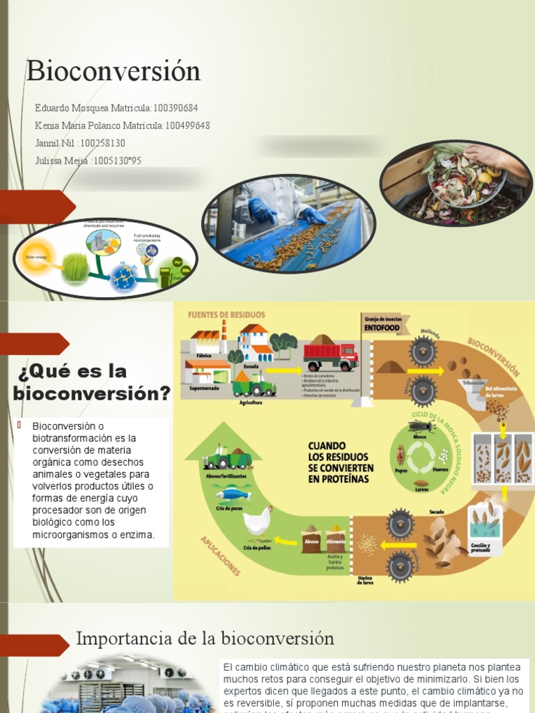 Bioconversión | PDF | Enzima | Biosíntesis