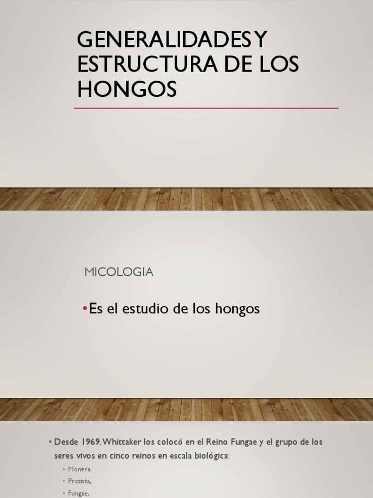 Clase 02 Generalidades y Estructura de Los Hongos Micetismo y ...