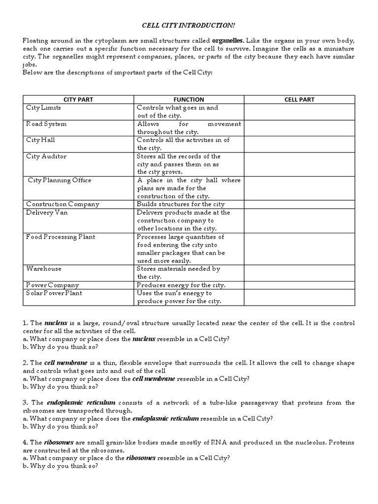 Cell City Introduction | PDF | Cell (Biology) | Cytoplasm