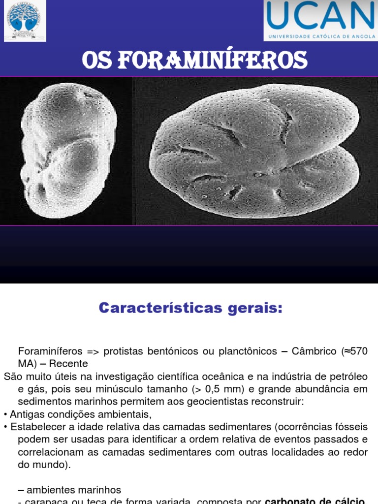 Aula 7_Foraminiferos_230424_165051 | PDF | Natureza | Geociências