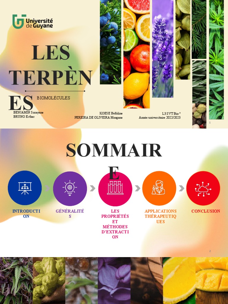 Cours Sur Les Terpènes | PDF | Solvant | Chromatographie