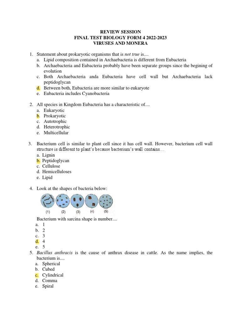 Answer Reinforcement Bio f4 Virus - Monera | PDF | Bacteria | Gram ...