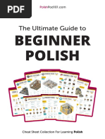 First Polish Reader Chapter 01 | PDF