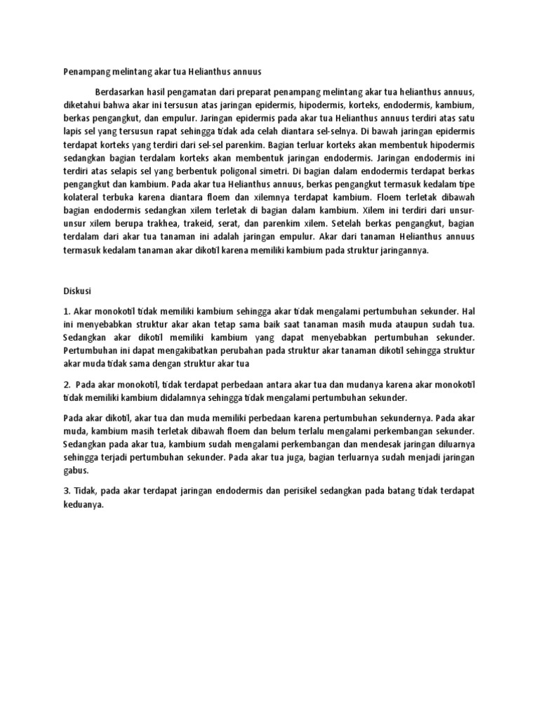 Penampang Melintang Akar Tua Helianthus Annuus | PDF