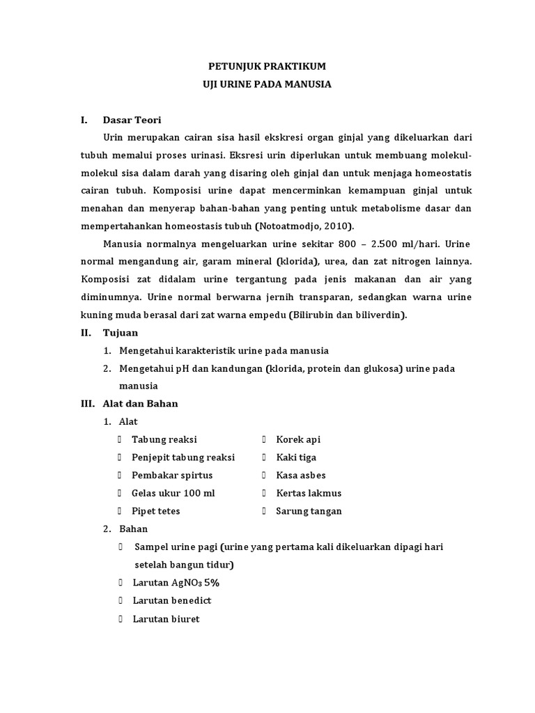 Petunjuk Praktikum Uji Urine XI | PDF