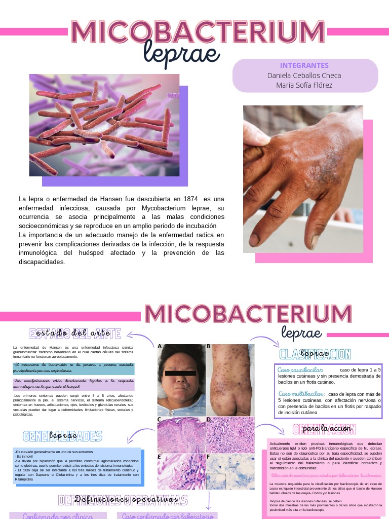 Mycobacterium Leprae | PDF | Lepra | Sistema inmune