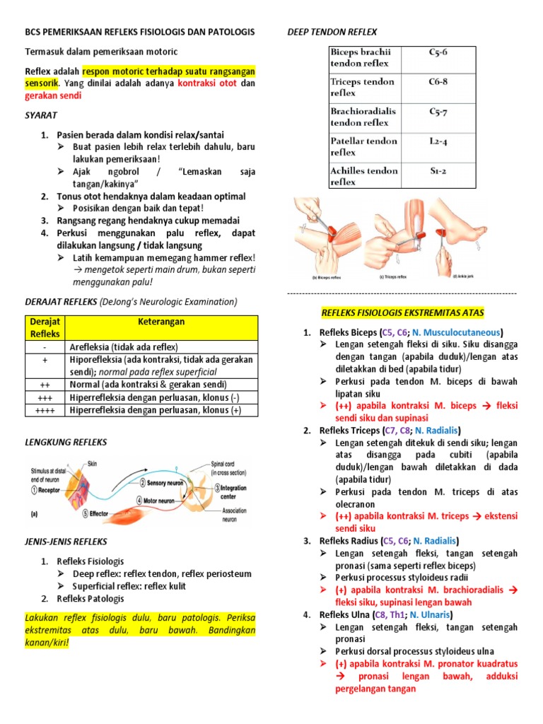 BCS Pemeriksaan Refleks Fisiologis Dan Patologis | PDF | Ilmu Sosial | Kajian Bahasa Asing