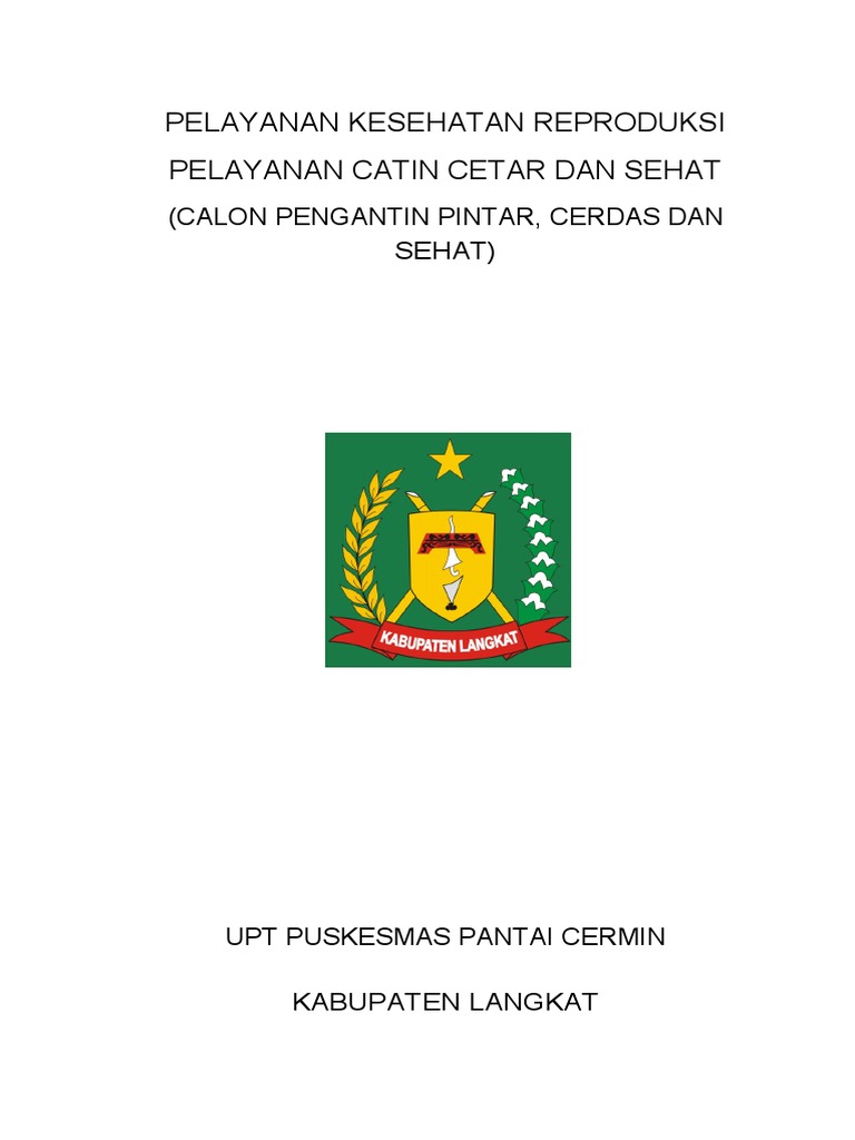 Pelayanan Kesehatan Catin di Puskesmas | PDF