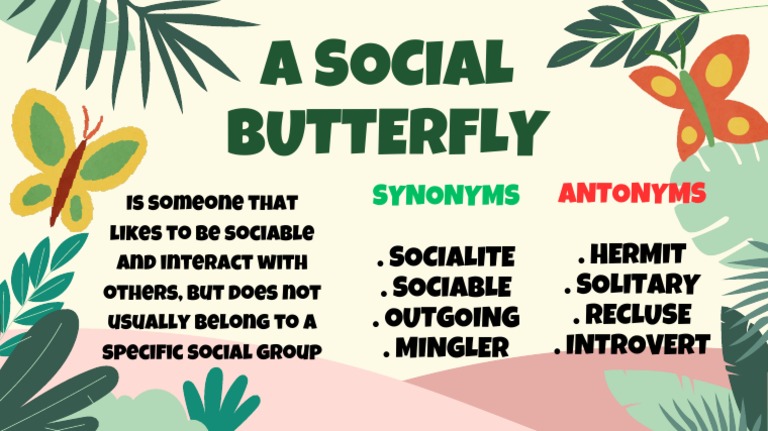 Understanding Social Butterflies: Traits & Terms | PDF | Politics ...