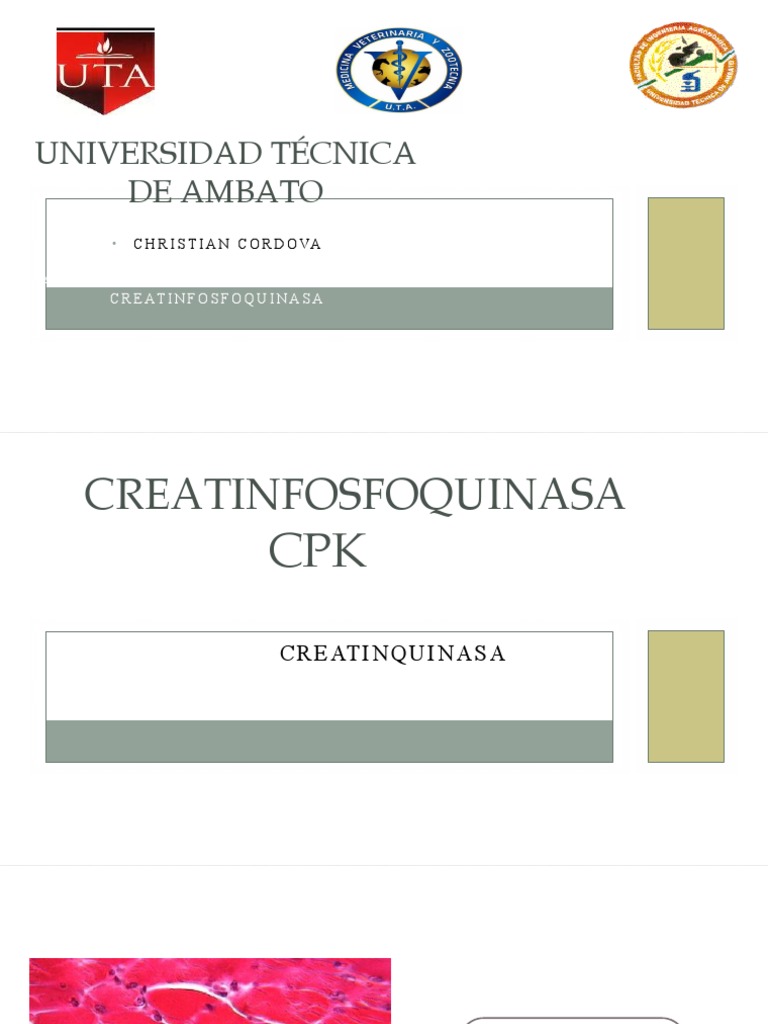 Creatinfosfoquinasa CPK | PDF | Medicina CLINICA | Especialidades Medicas