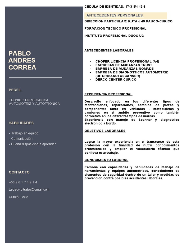 Curriculum Pablo | PDF