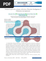 1000 Most Common Afrikaans Words - 100% Best List of Words | PDF