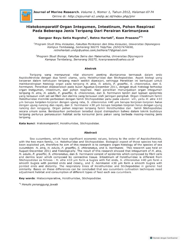 Jurnal Sistem Integumen 2 | PDF