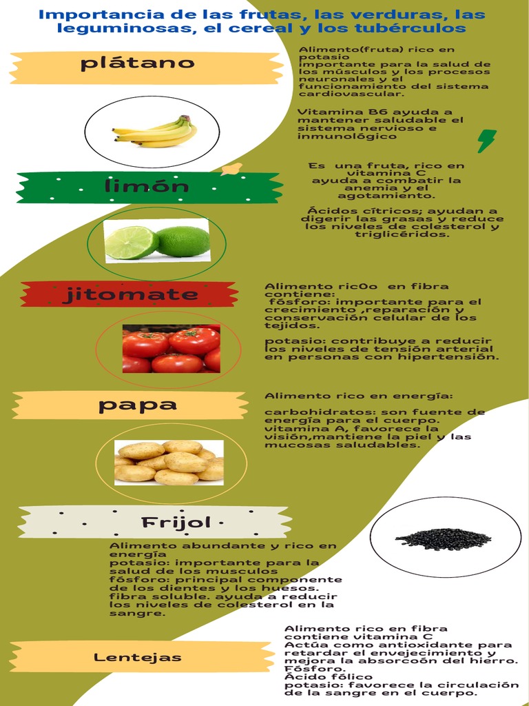 Infografía de Los Alimentos | PDF