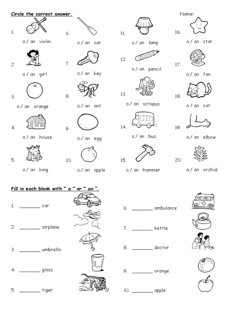 a-or-an-grammar-drills_22912 | PDF | Birds
