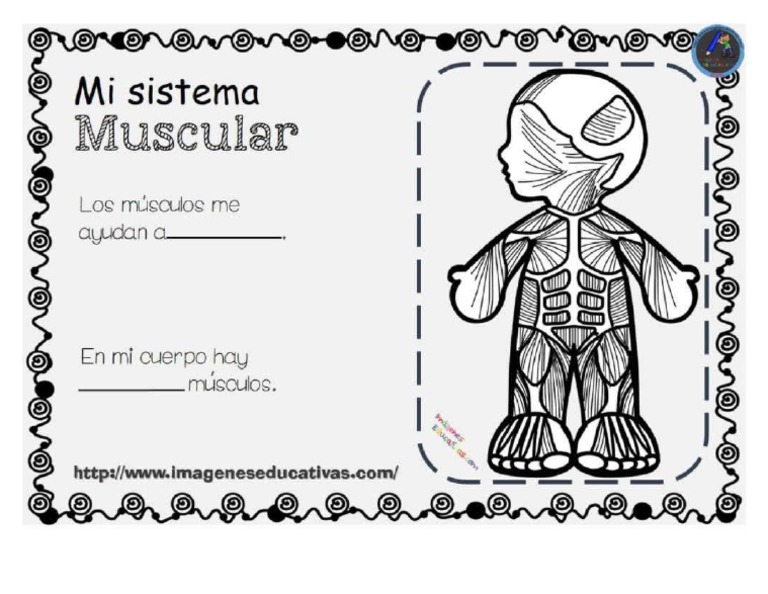 Ficha Sistema Muscular 1 | PDF