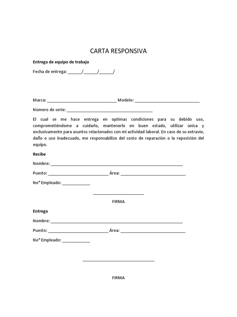 CARTA RESPONSIVA | PDF