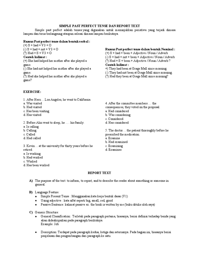 Meeting 4 Past Perfect Tense Dan Report Text | PDF | Snake | Bears