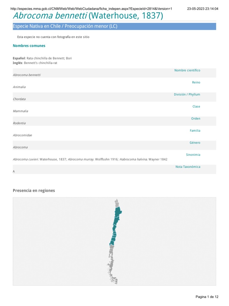 Fichaespecie Abrocoma Benetti | PDF | Especie en peligro | Chile