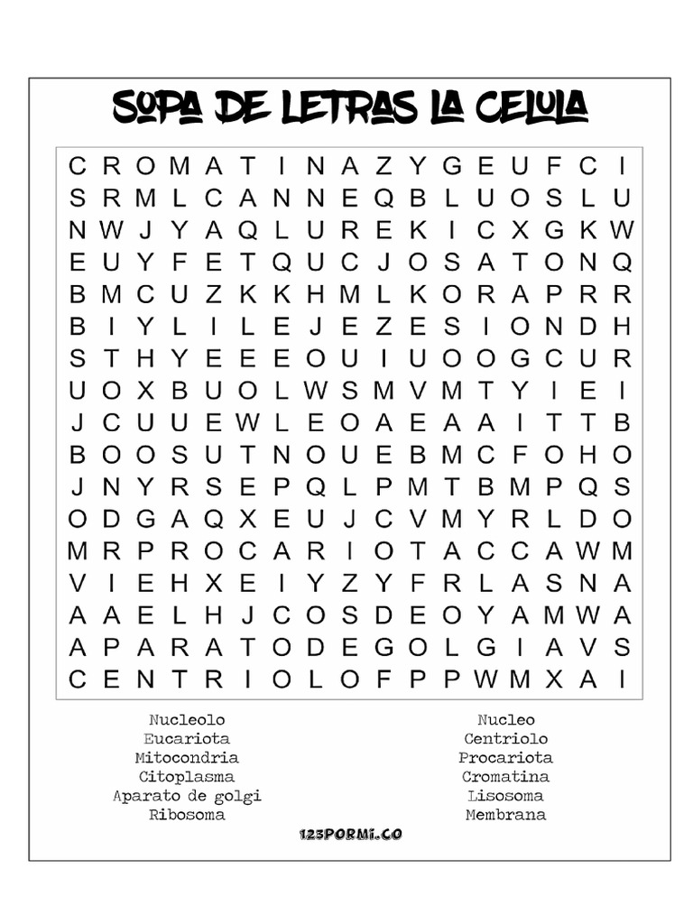 Sopa de Letras | PDF