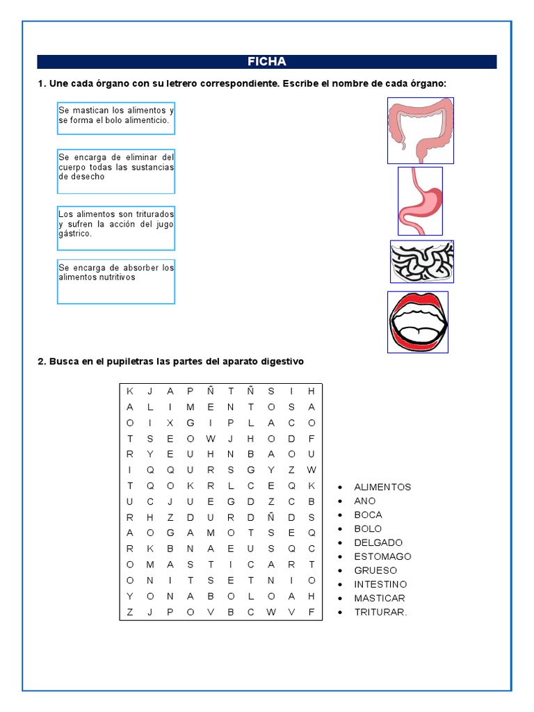 3° CyT | PDF
