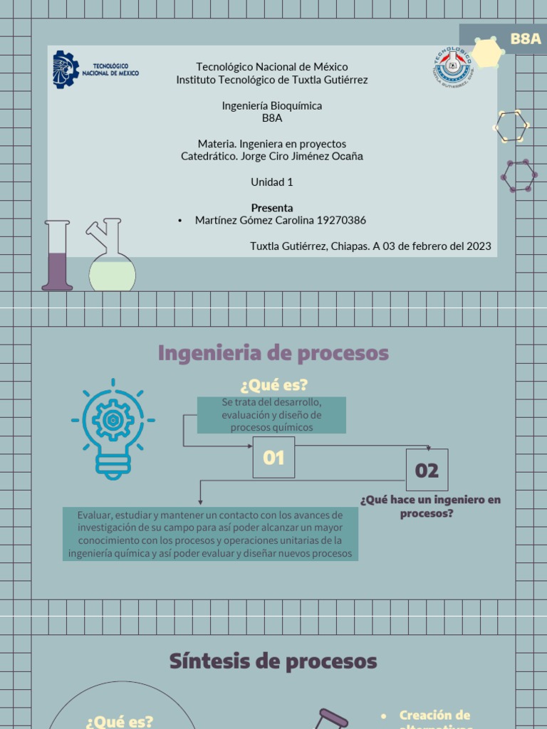 Ingenieria en Procesos | PDF | Ingeniería | Ingeniería de Procesos