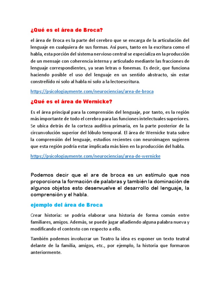 Qué Es El Área de Broca y Wernicke | PDF | Estudios de idiomas extranjeros