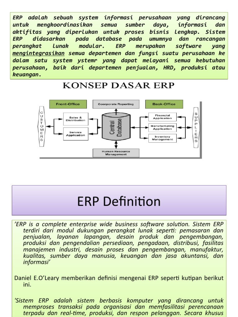 Analisis Proses Bisnis ERP | PDF
