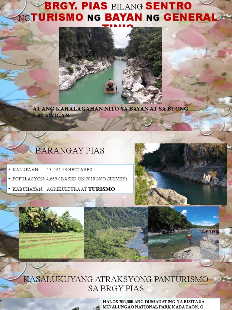PALAWAN CHERRY BLOSSOMS Presentation | PDF