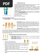 Anatomía del triángulo de Calot y Buddé | PDF | Vesícula biliar | Hígado
